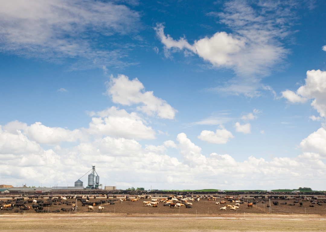 Warmest and Coldest January in Lincoln County, Nebraska History | Stacker