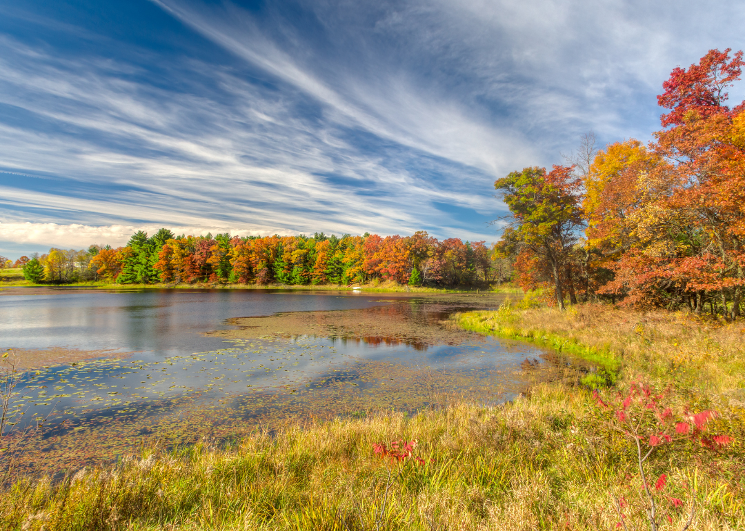 Warmest and Coldest January in Polk County, Wisconsin History | Stacker