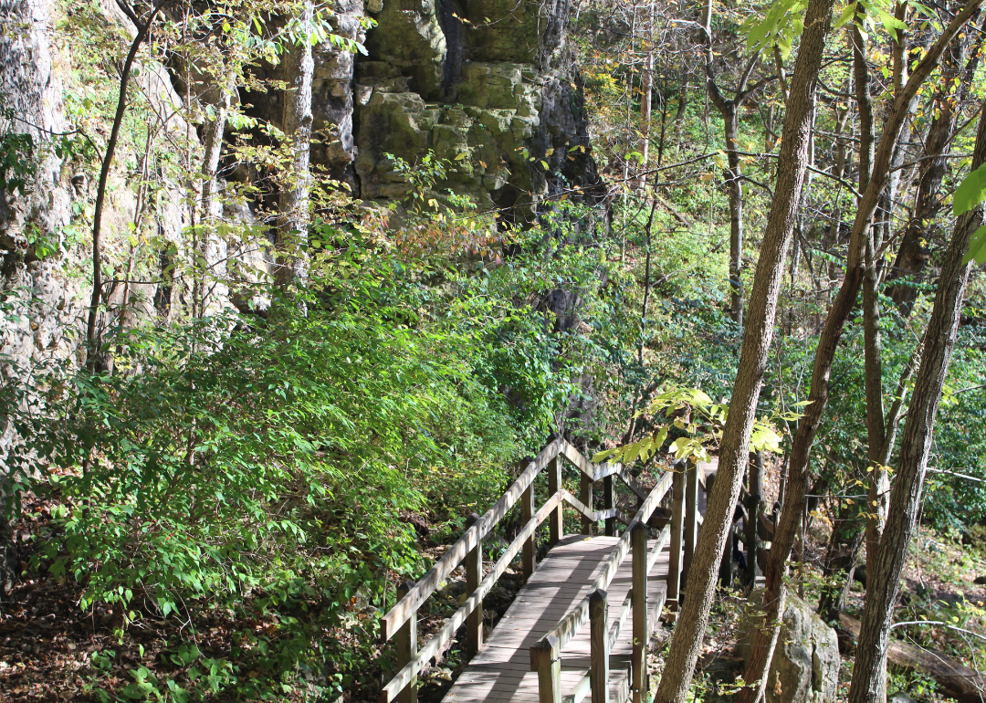 Warmest and Coldest January in Jackson County, Iowa History | Stacker