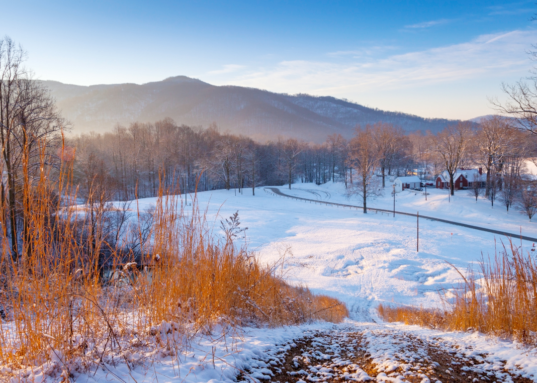 Warmest and Coldest January in Morgan County, Tennessee History | Stacker
