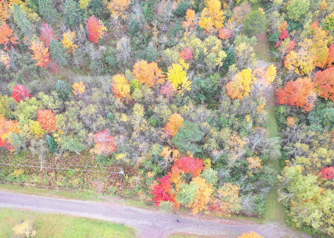 Warmest Decembers in Iron County, Wisconsin History | Stacker