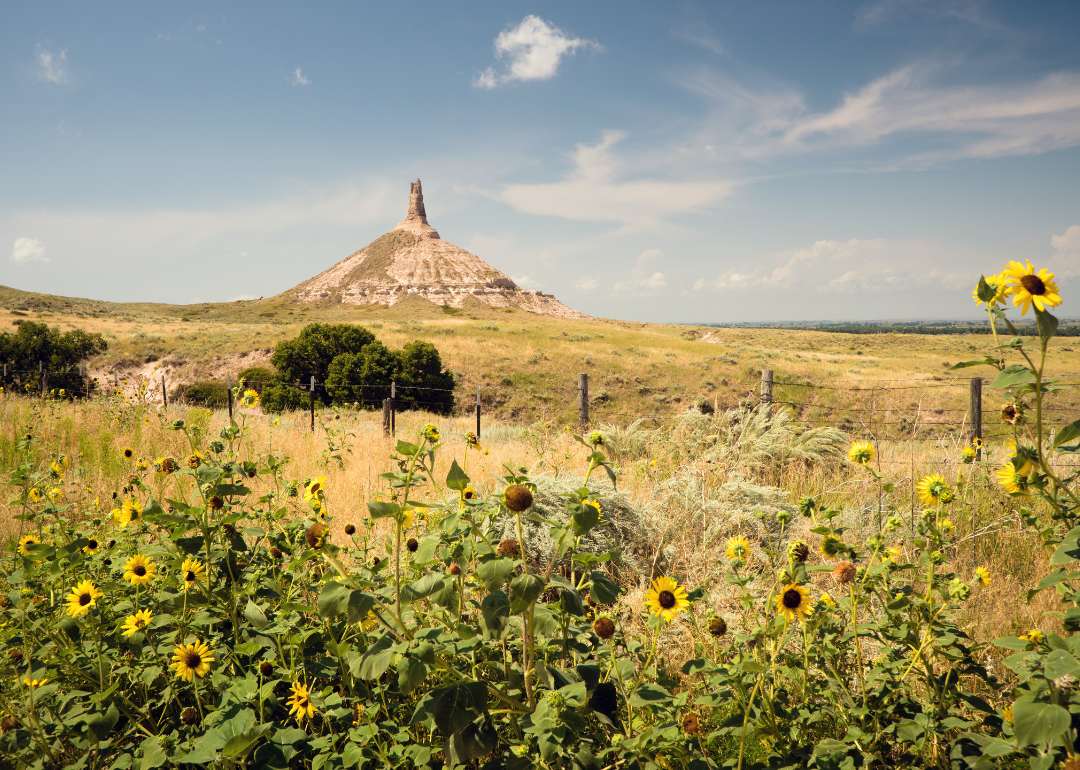 Warmest and Coldest January in Morrill County, Nebraska History | Stacker