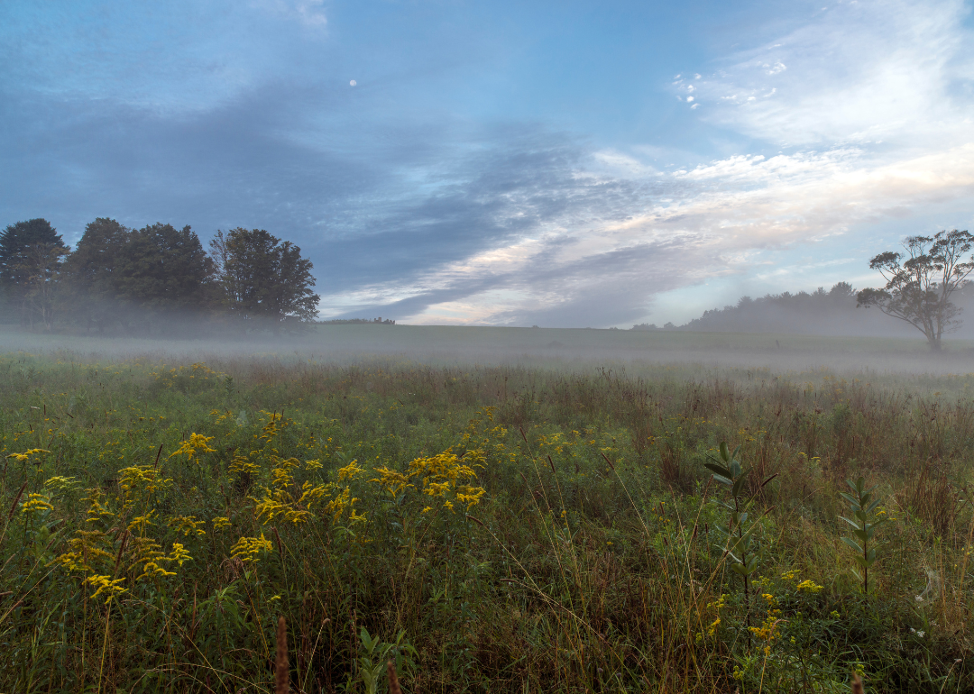 Warmest and Coldest January in Sullivan County, New York History | Stacker