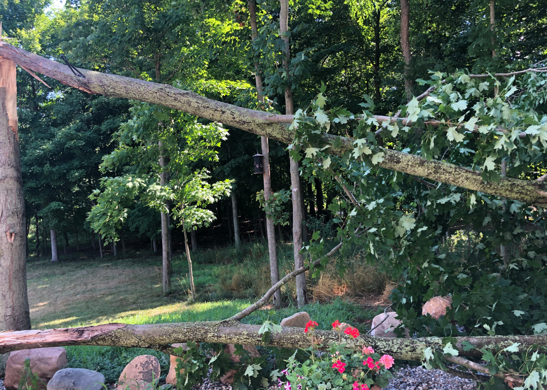 Warmest and Coldest January in Barry County, Michigan History | Stacker