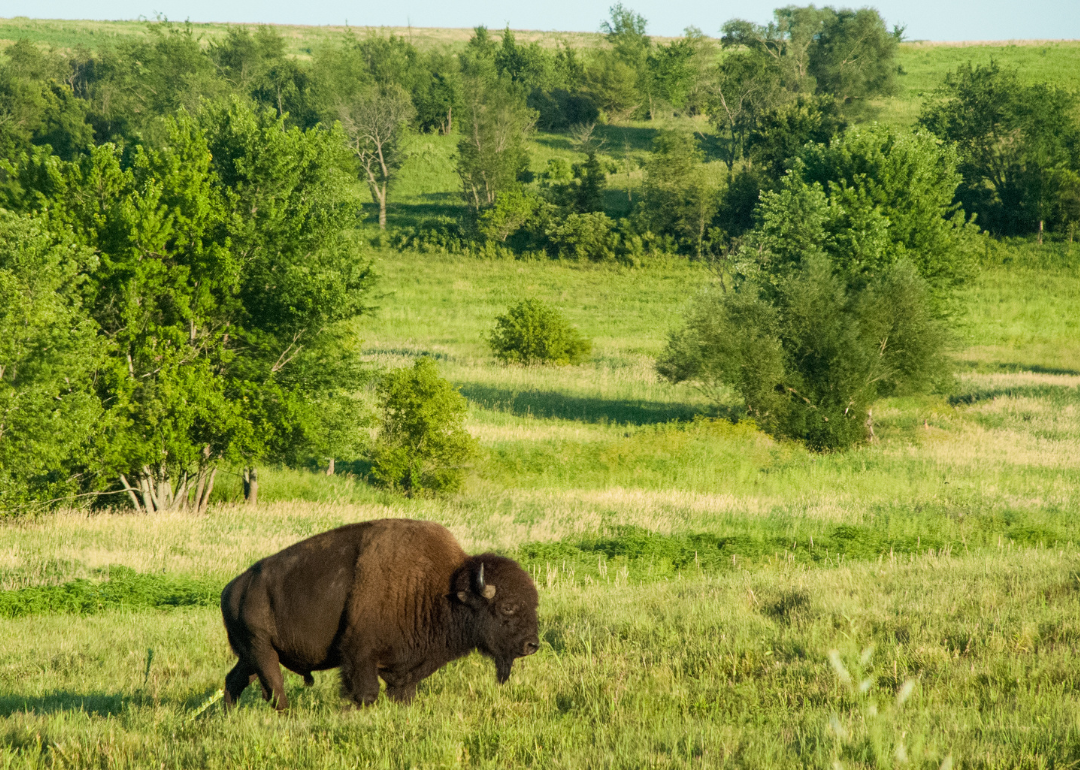 Warmest and Coldest January in Jasper County, Iowa History | Stacker