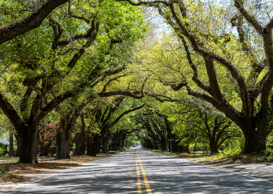 Warmest and Coldest January in Aiken County, South Carolina History ...