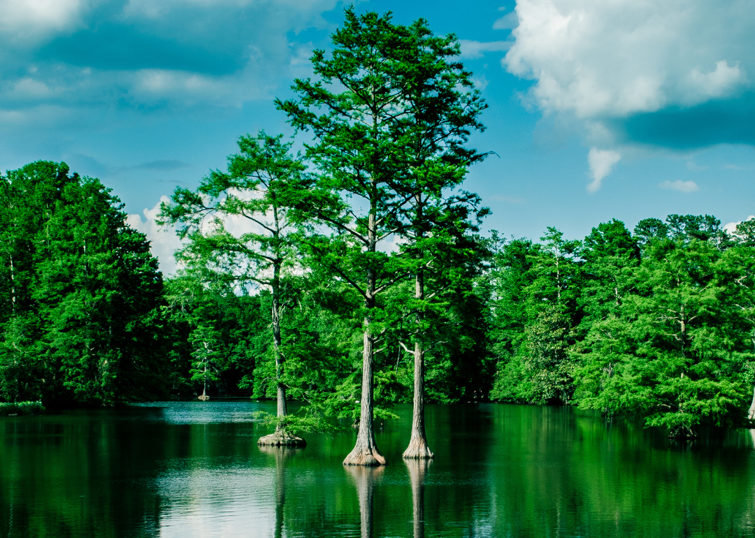 Warmest Decembers in Sumter County, South Carolina History | Stacker