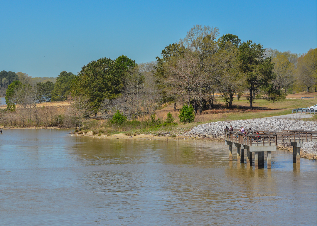 Warmest and Coldest January in Panola County, Mississippi History | Stacker