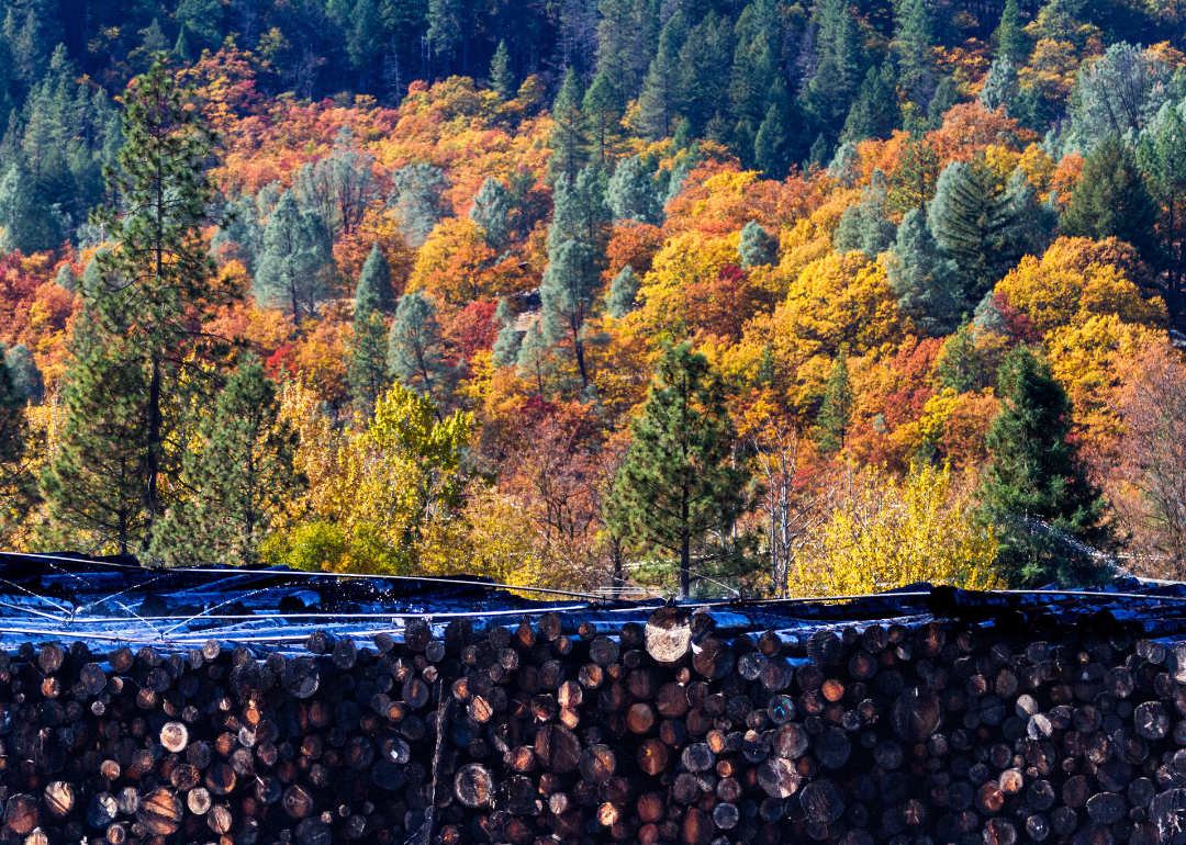 1 in 80 People in Trinity County, California Are Grandparents Caring ...
