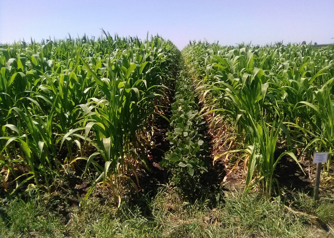 Warmest and Coldest January in Warren County, Illinois History | Stacker