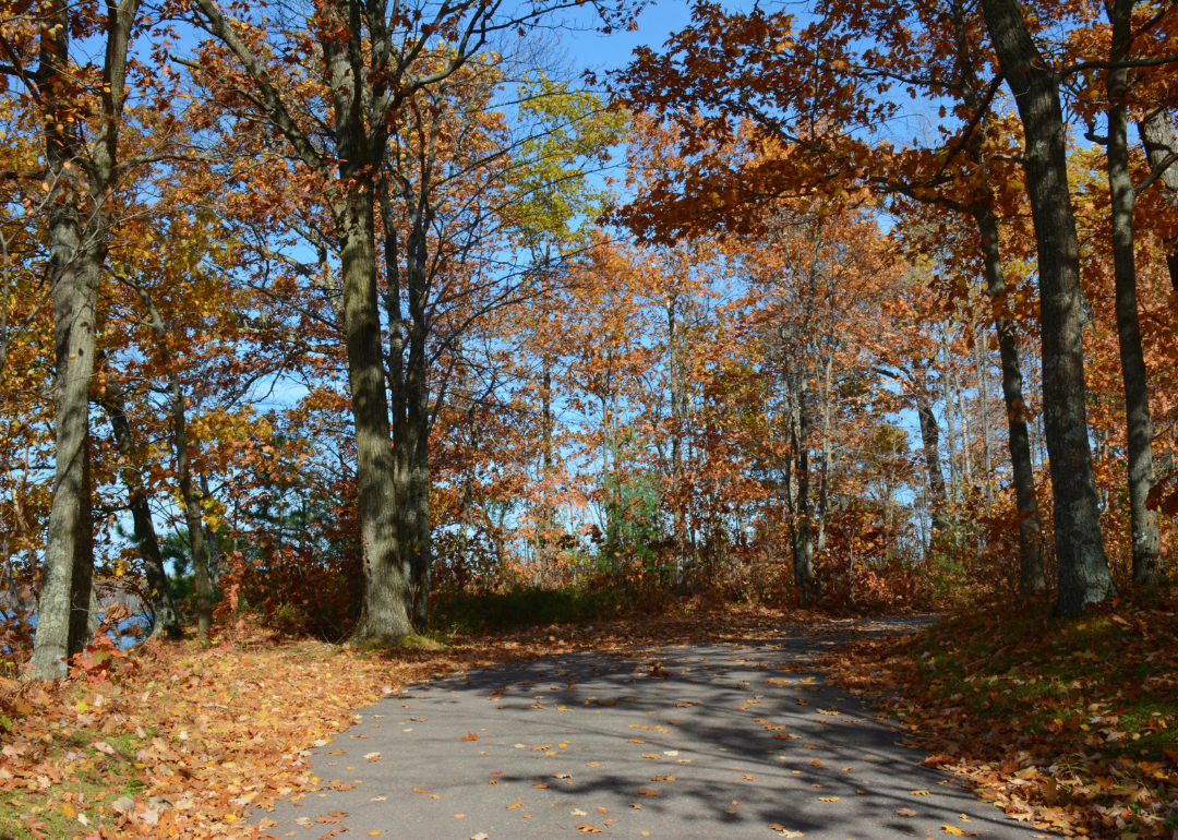 Warmest Decembers in Taylor County, Wisconsin History | Stacker