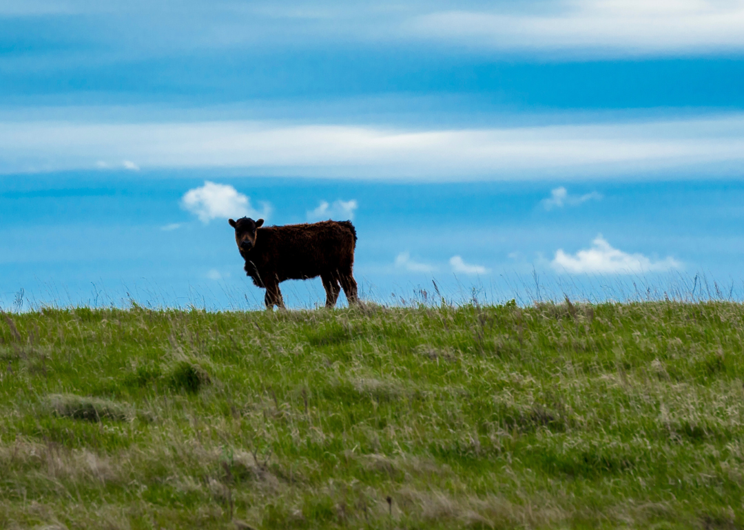 Warmest and Coldest Februaries in Sioux County, North Dakota History ...