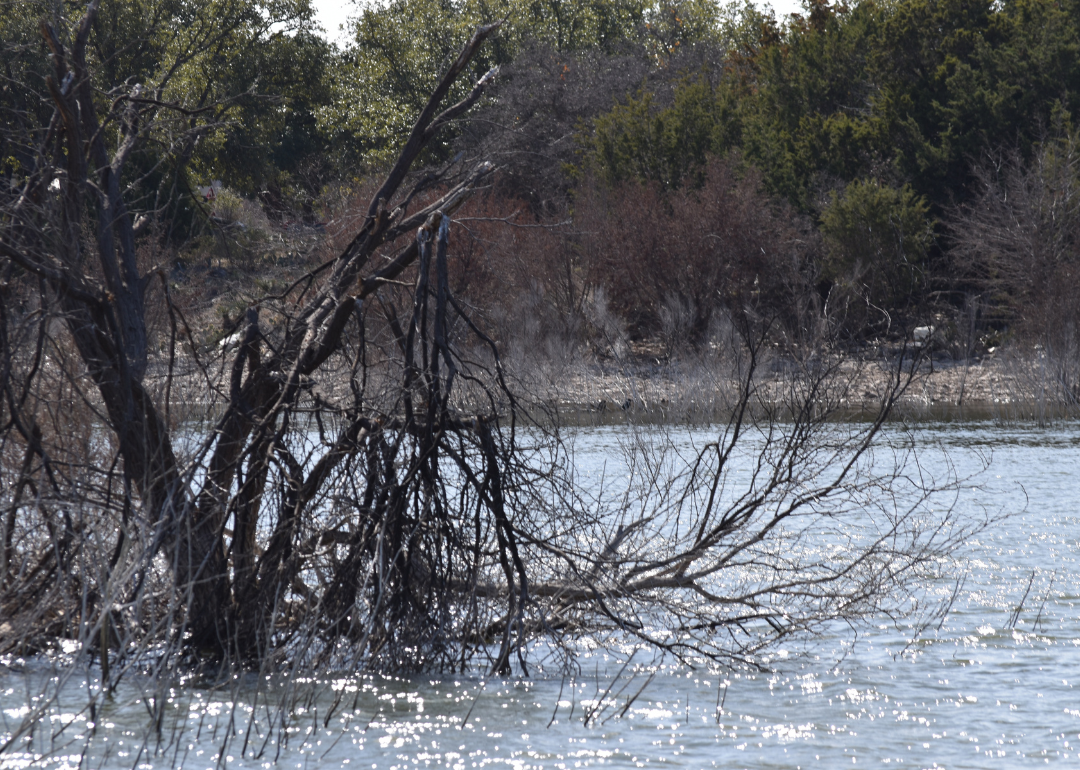 Warmest and Coldest January in McCulloch County, Texas History | Stacker