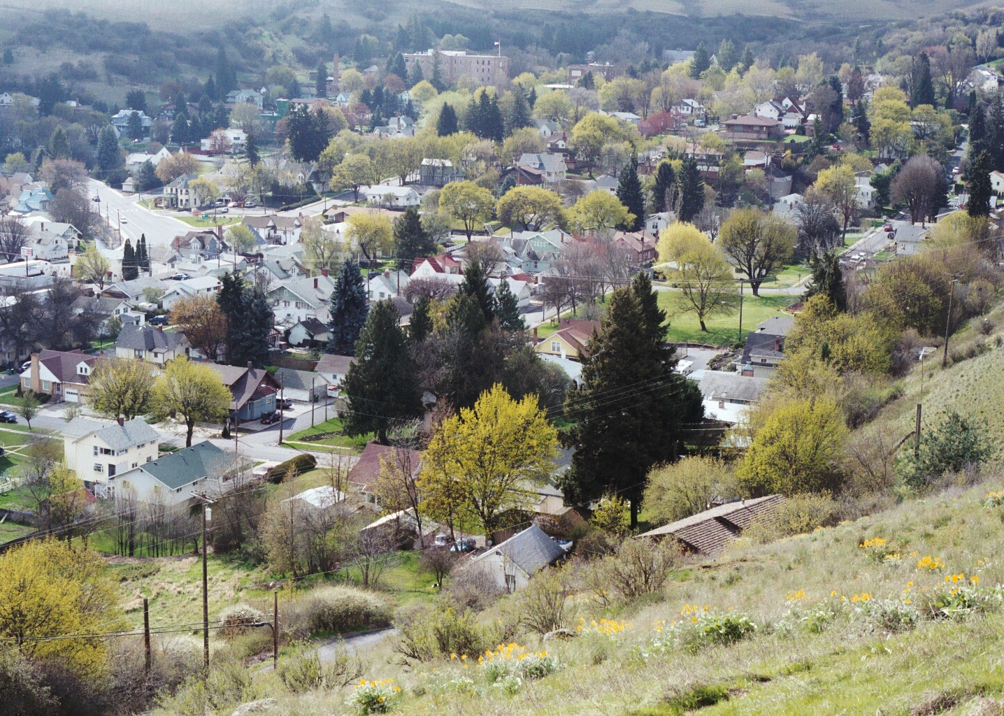 Where People in Whitman County, WA Are Moving to Most | Stacker