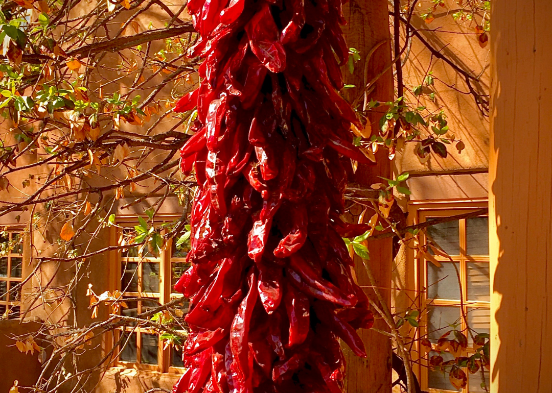 New Mexico is the #10 State Where People Consume the Least Fruits and ...