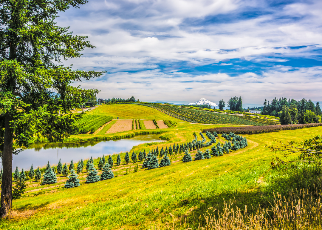 Oregon is the #9 State Where People Consume the Most Fruits and ...