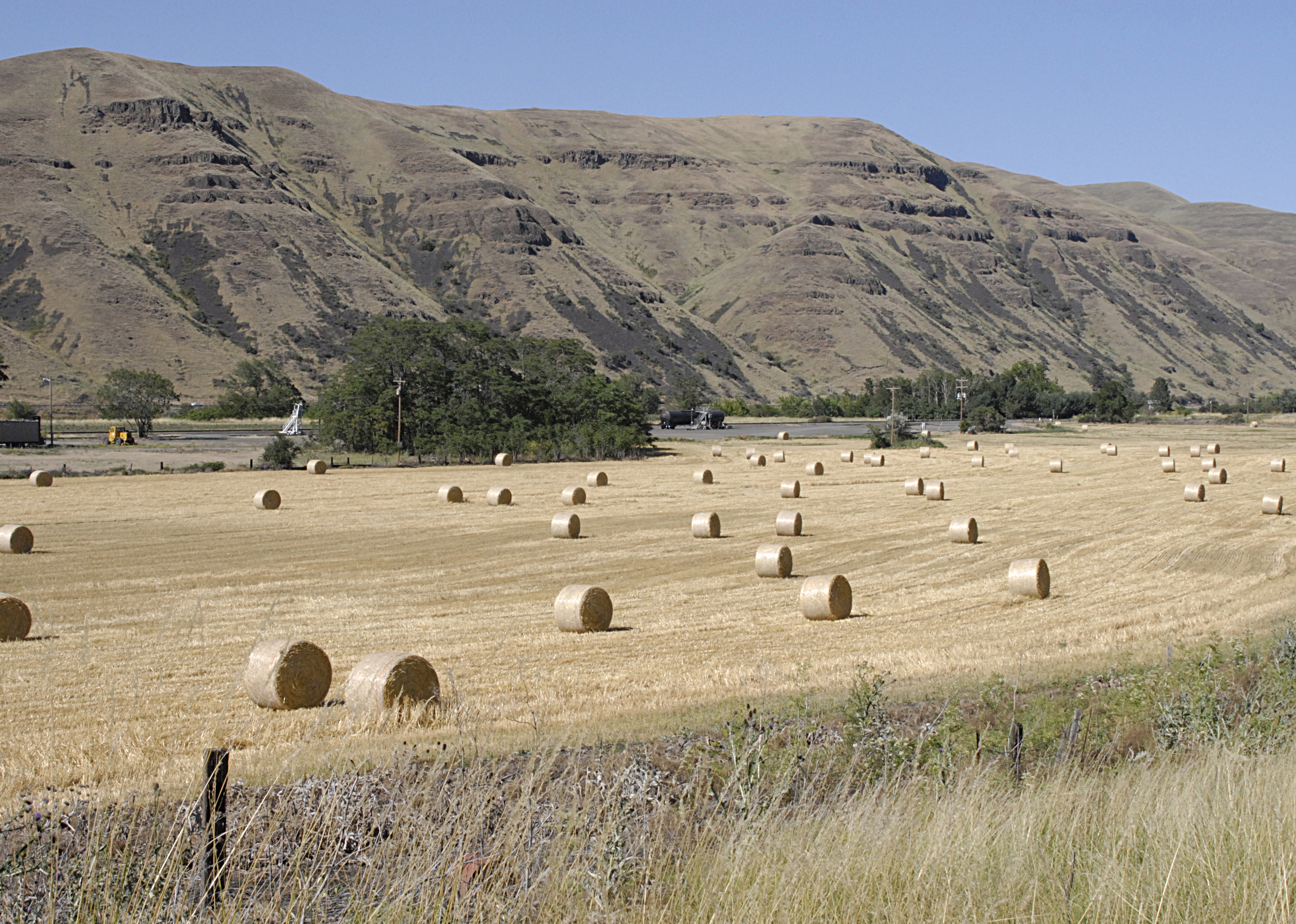 Fewer Crops—like Onions: How Climate Change Has Affected Idaho | Stacker