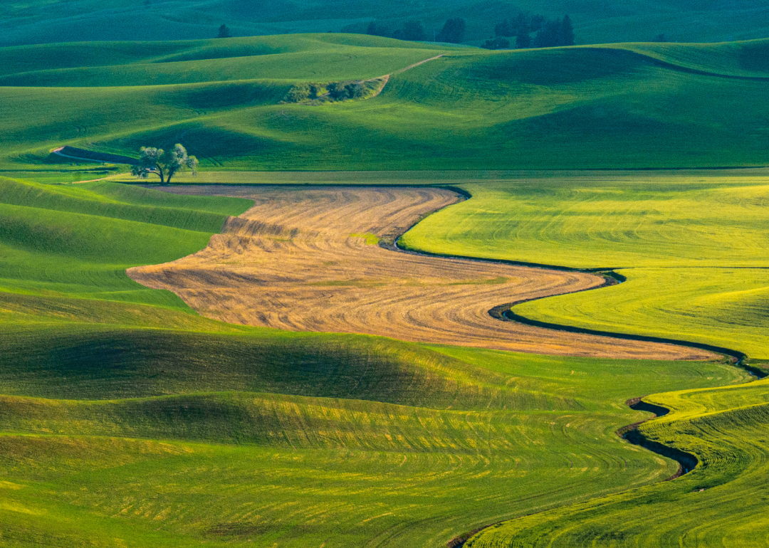 Warmest Decembers in Grant Parish, Louisiana History | Stacker