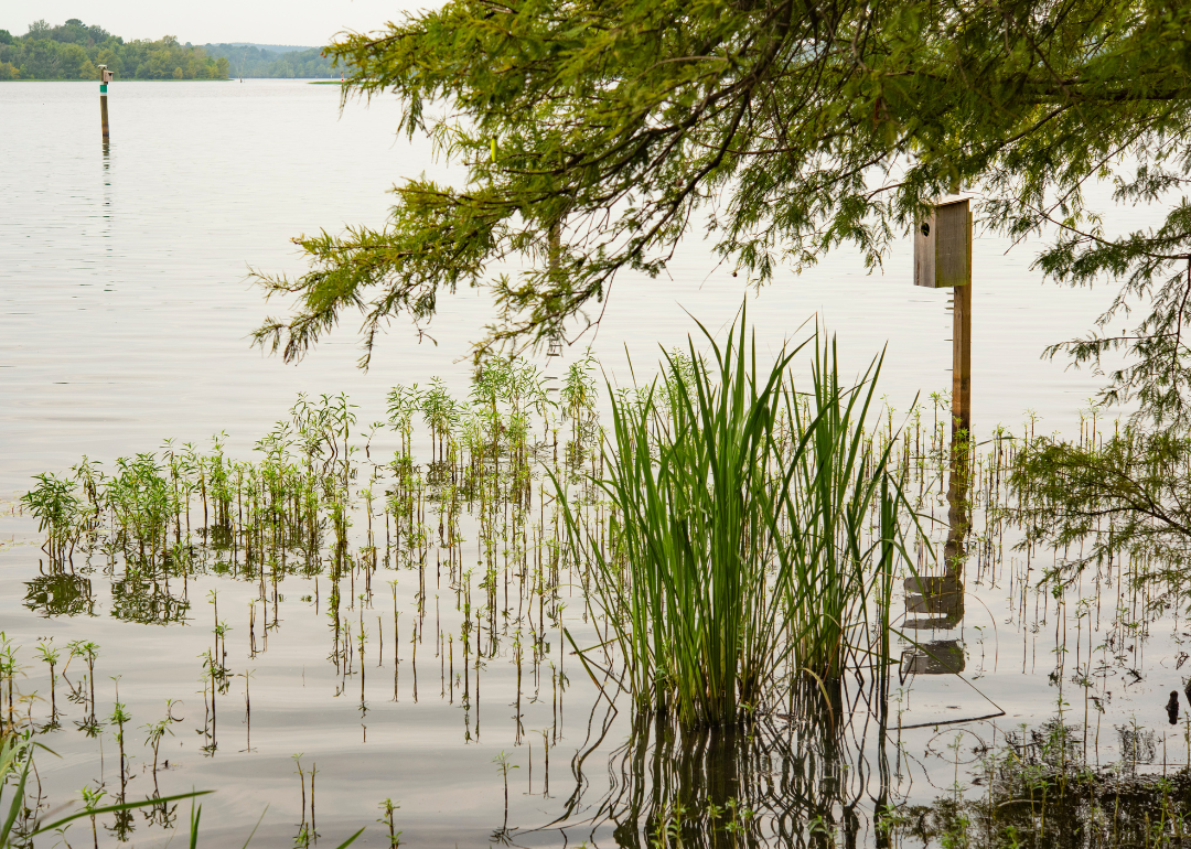 Warmest and Coldest January in Union Parish, Louisiana History | Stacker