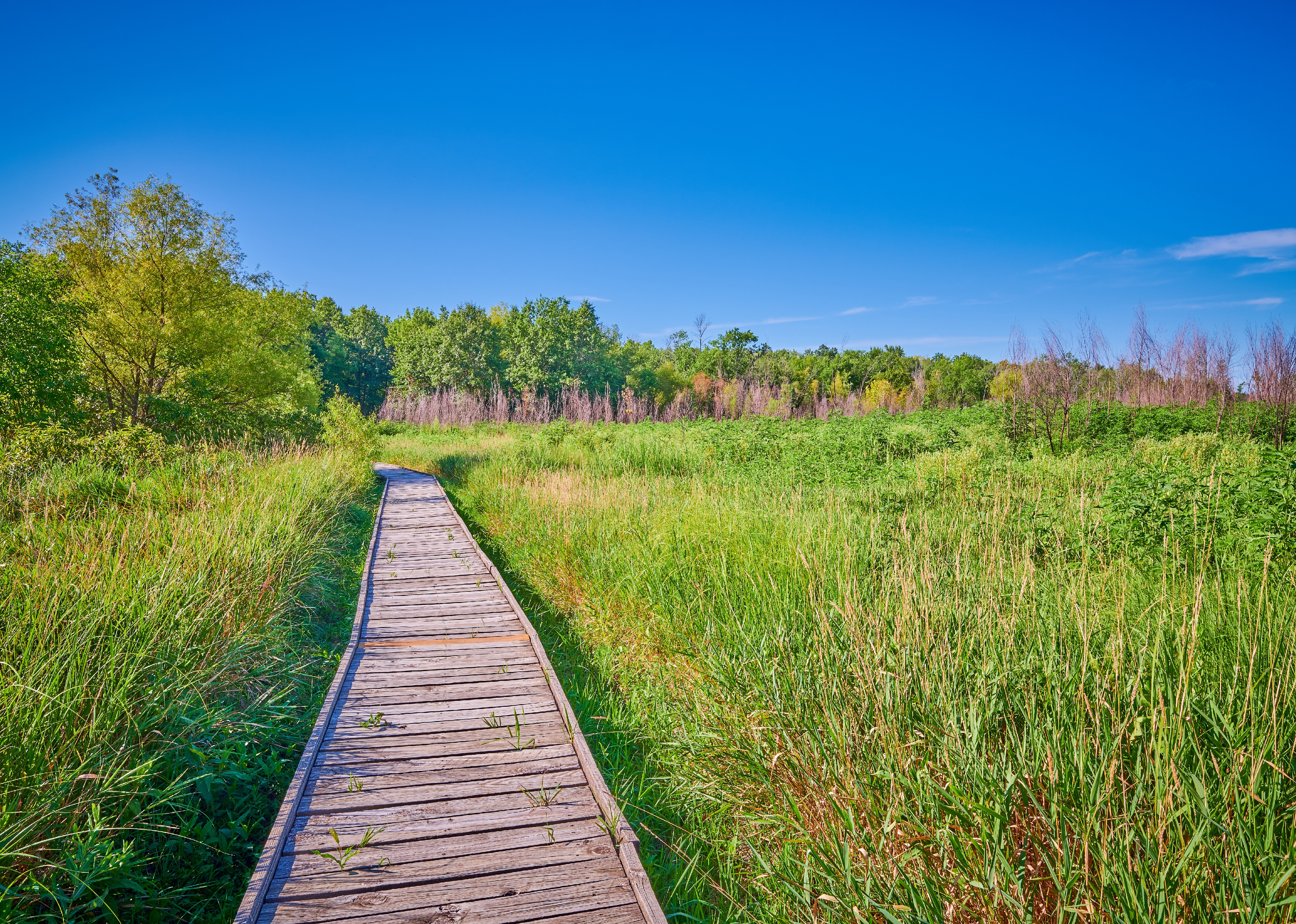 Warmest and Coldest January in Linn County, Missouri History | Stacker