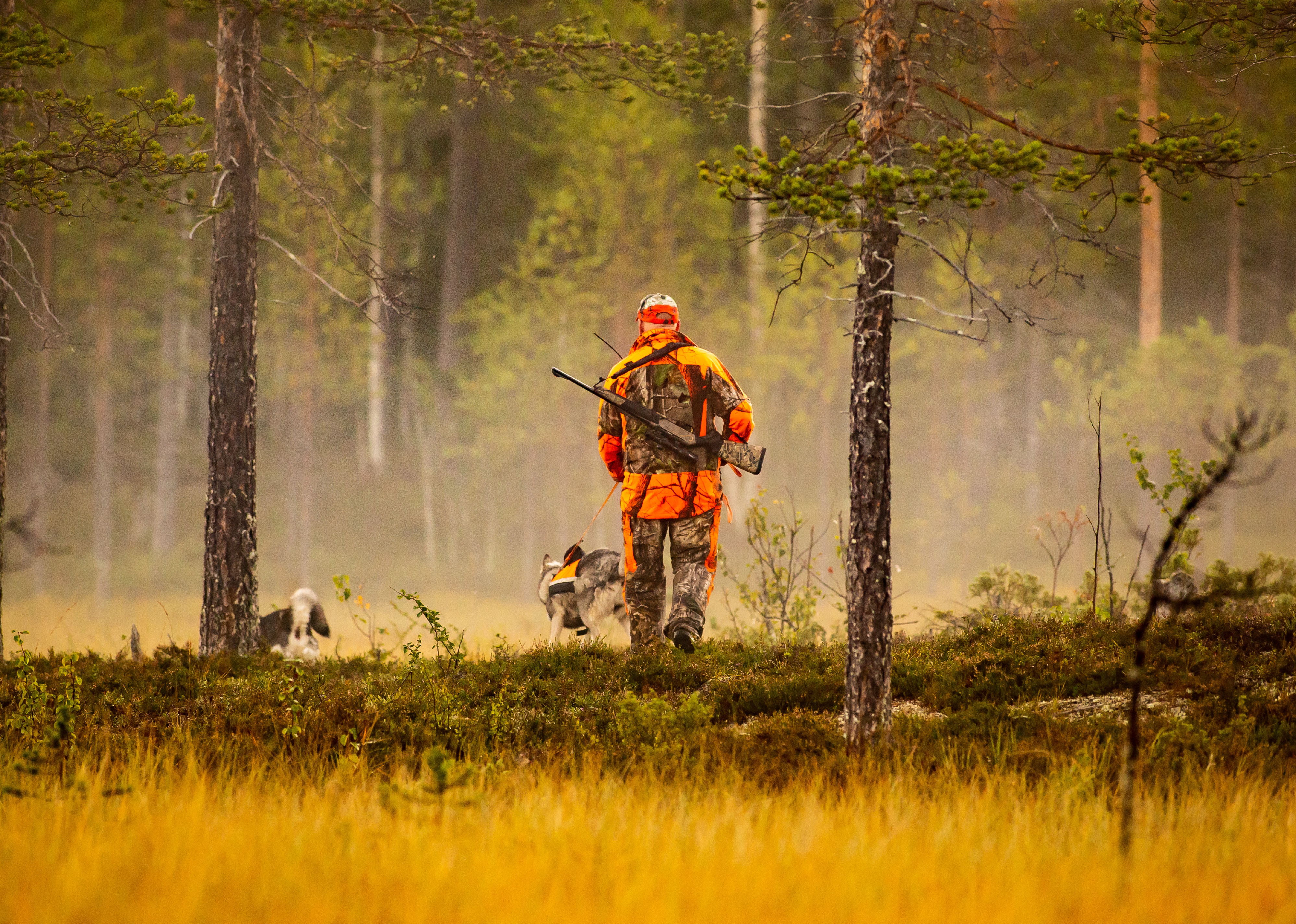 The Number of Registered Hunters in Maryland | Stacker