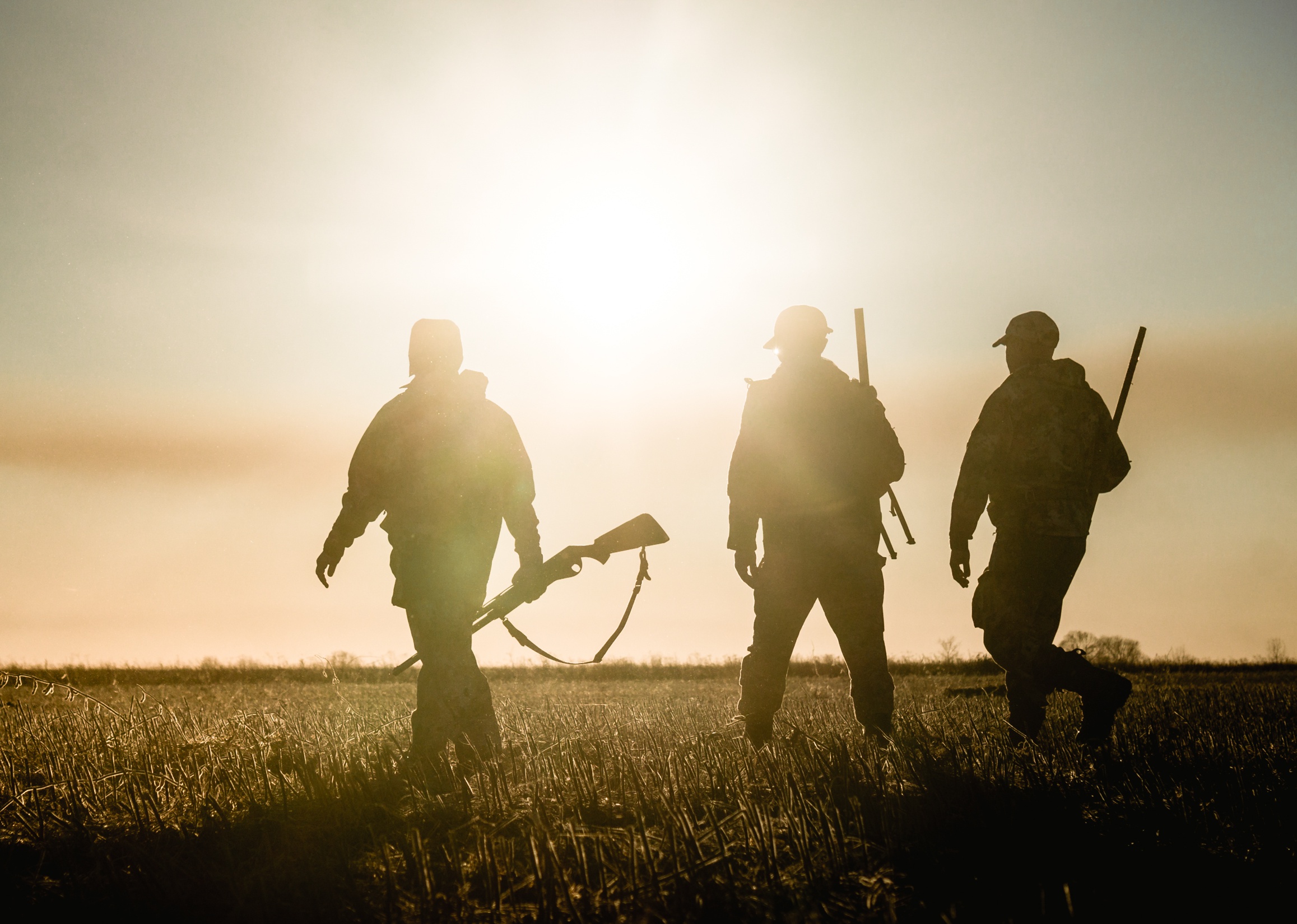 The Number of Registered Hunters in New Jersey | Stacker
