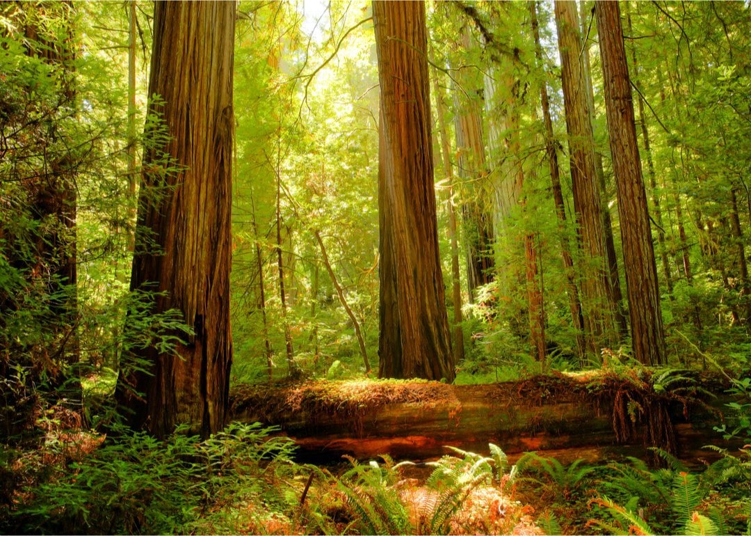 Closest National Parks to Seattle | Stacker