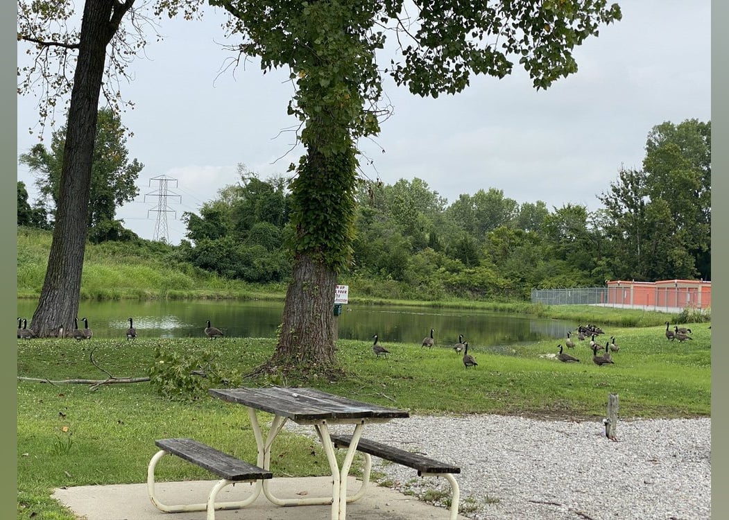 Highest-rated Campgrounds in St. Louis, According to Yelp | Stacker