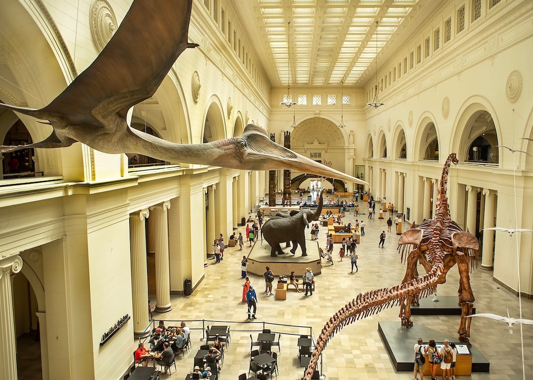 Highest-rated Museums in Florida by Visitors | Stacker