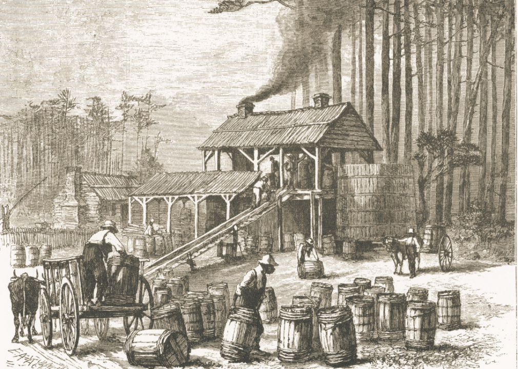 Most common jobs 150 years ago in North Carolina