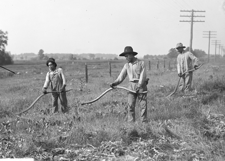 How Farming Has Changed in Every State the Last 100 years | Stacker