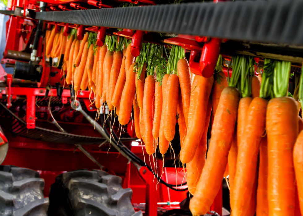 Most valuable crops grown in California | KRON4